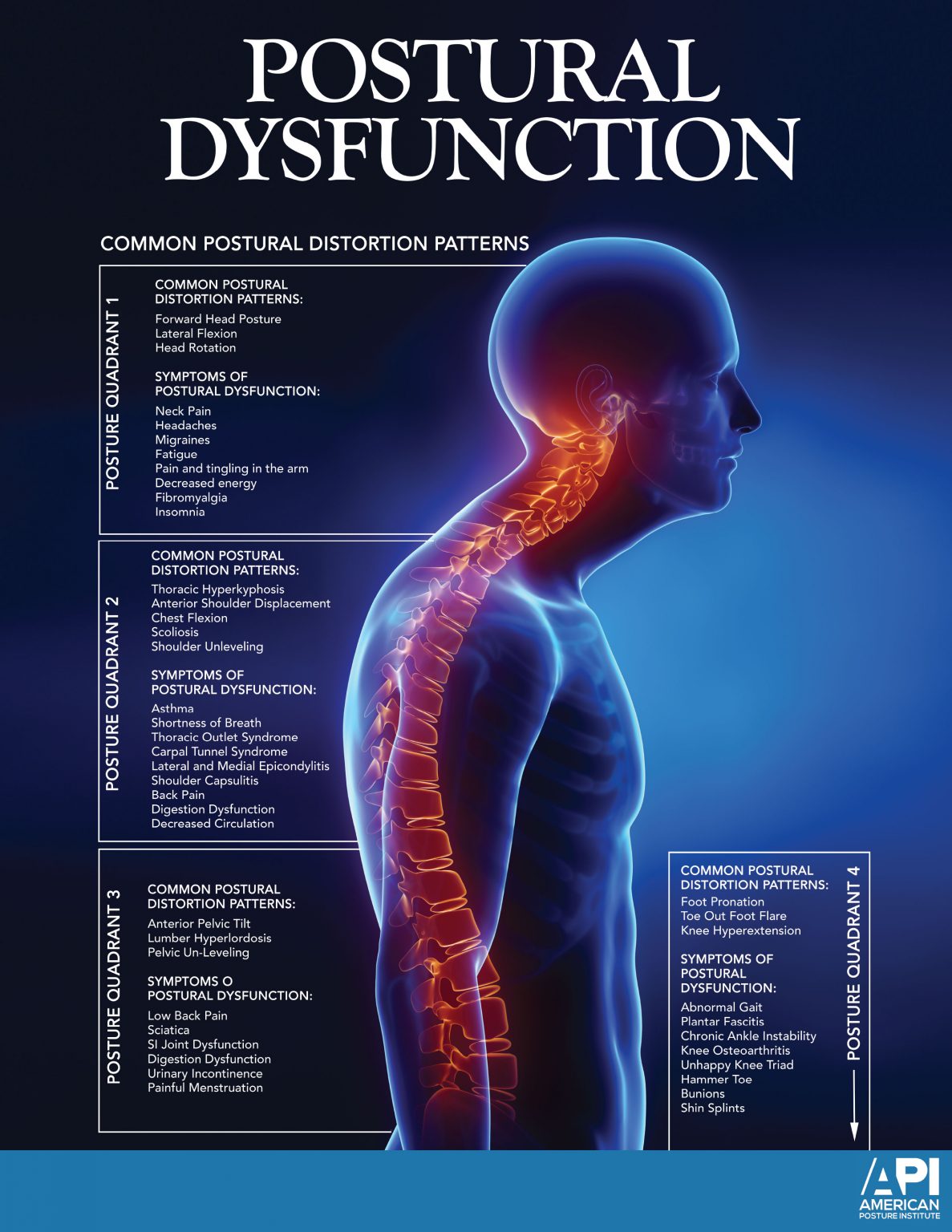 What is Postural Dysfunction? - Advanced Chiropractic Albir